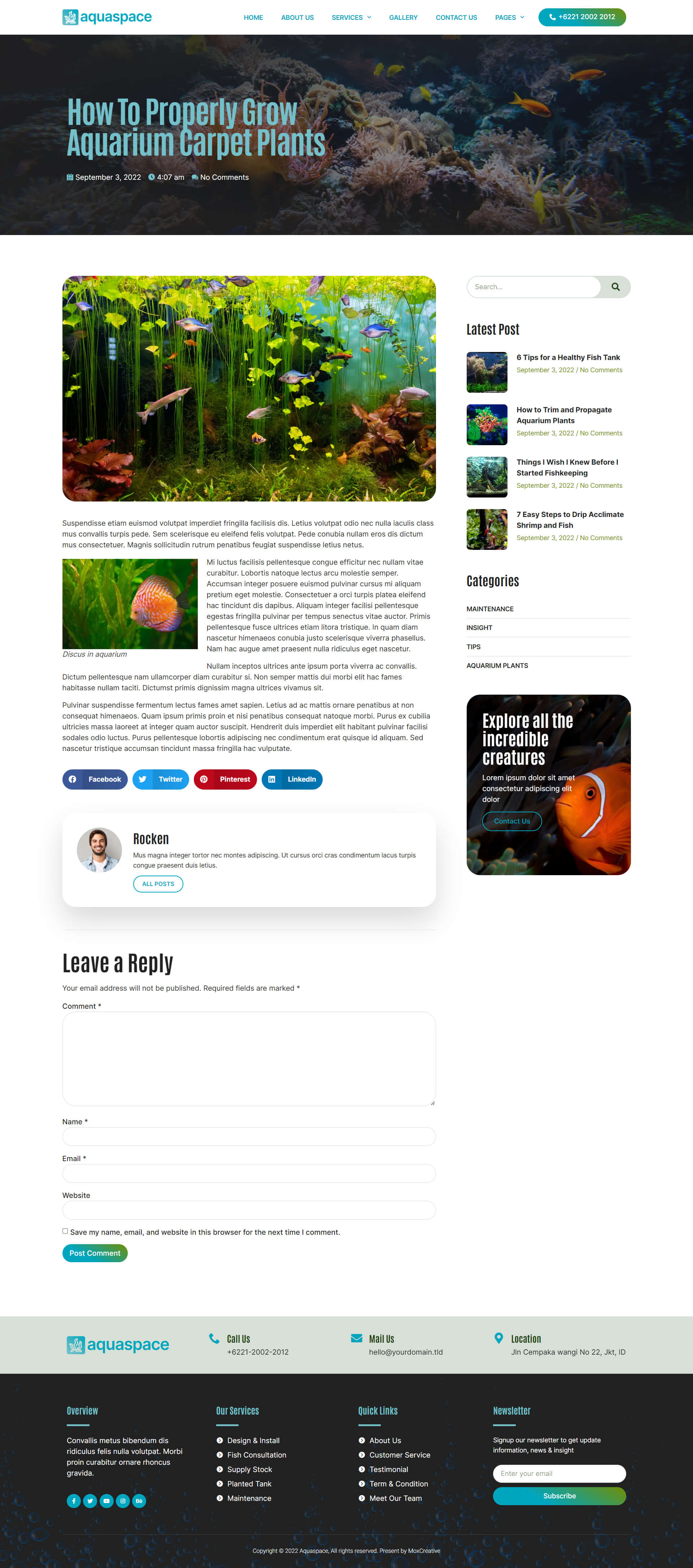 Aquaspace - Fish Aquarium & Aquascape Service Elementor Template Kit by moxcreative